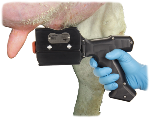Gun – Udder Gun
